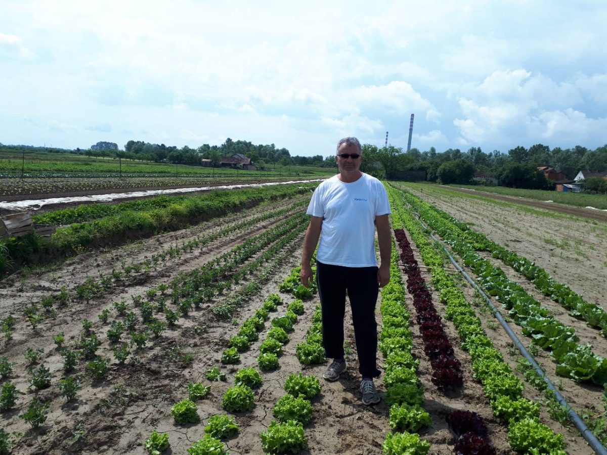 OPG Marinko Didović – Gradska tržnica Sisak